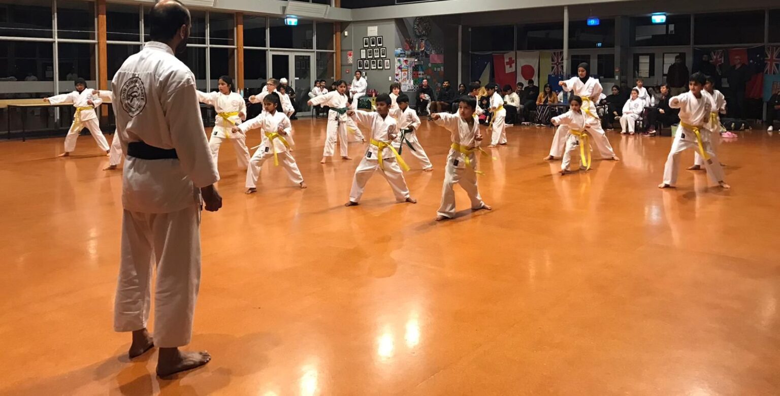 Join LBKI Karate - Lion Budokan Karate International